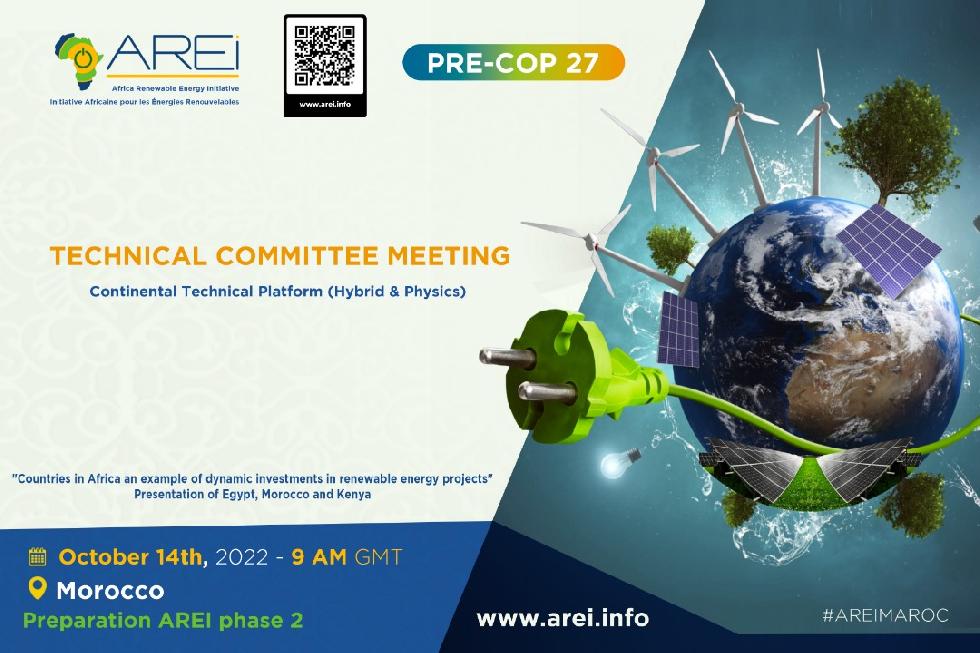 AREI | Africa Renewable Energy Initiative - Official Website